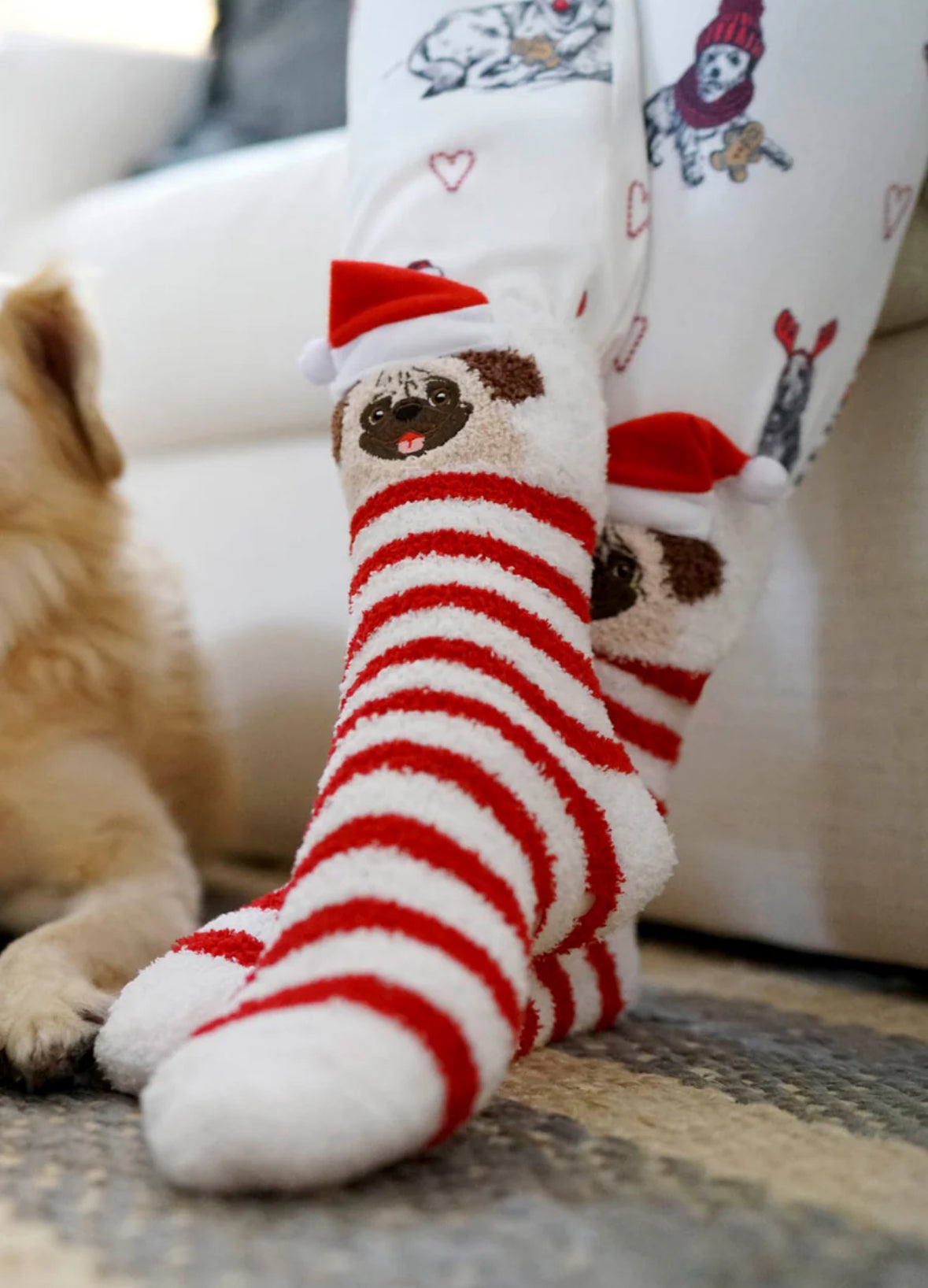 PJ Salvage - Holiday Fun Pug Socks | What To Wear Sudbury